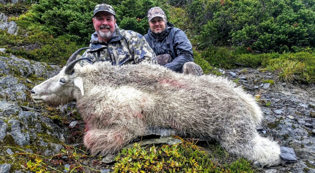 Mountain Goat Hunting in BC | Book a BC Mountain Goat Hunt | BC ...